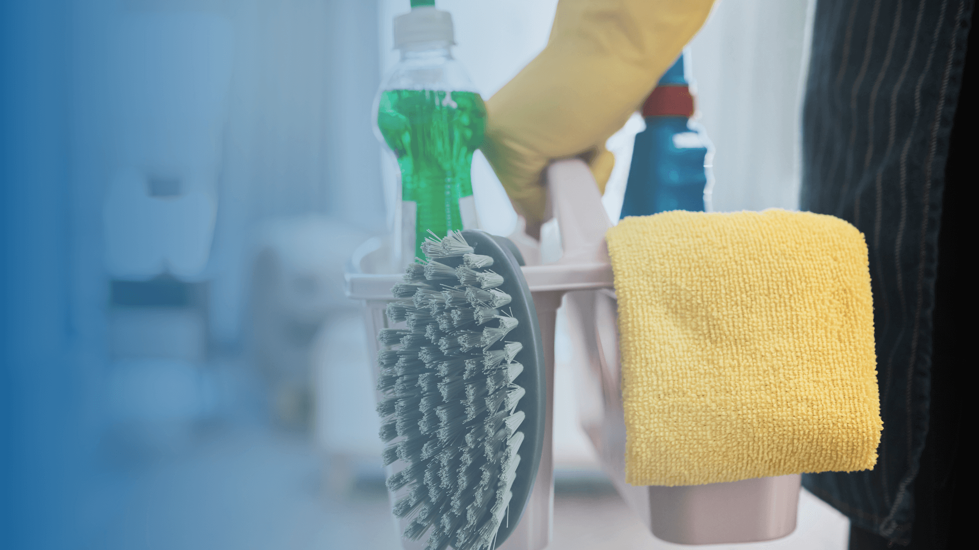 Career | Absolute Divine Cleaning